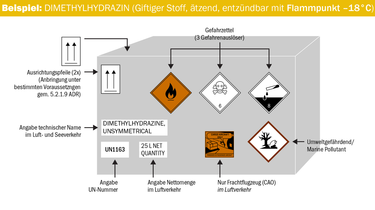 Gefahrgüter – das müssen Spediteur:innen im Umgang mit „Dangerous Goods ...