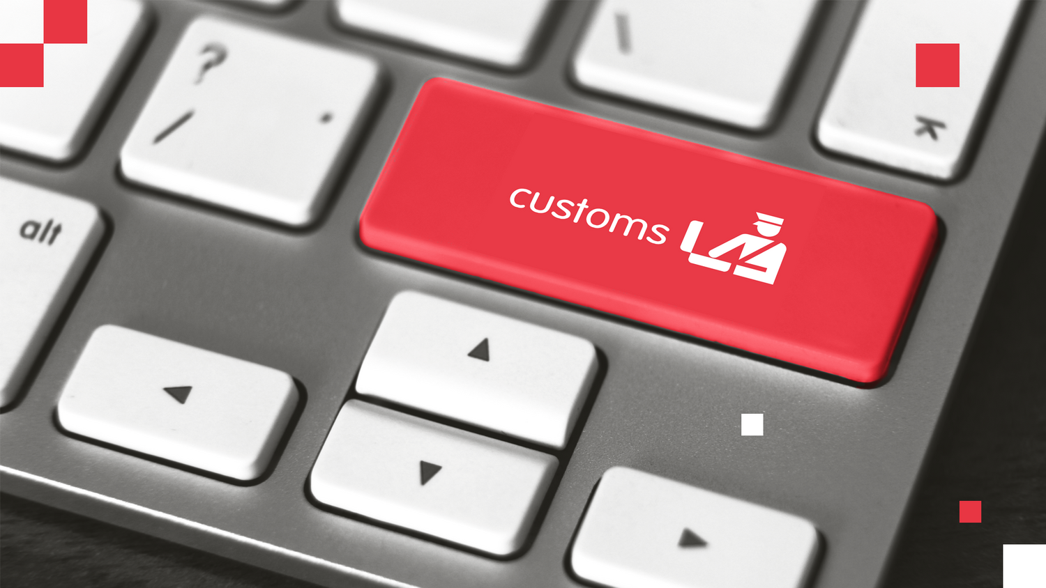 European Customs Clearance (ECC) recommends the… | Riege Software